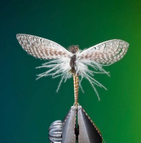 Fly Tying – Cross Current Outfitters
