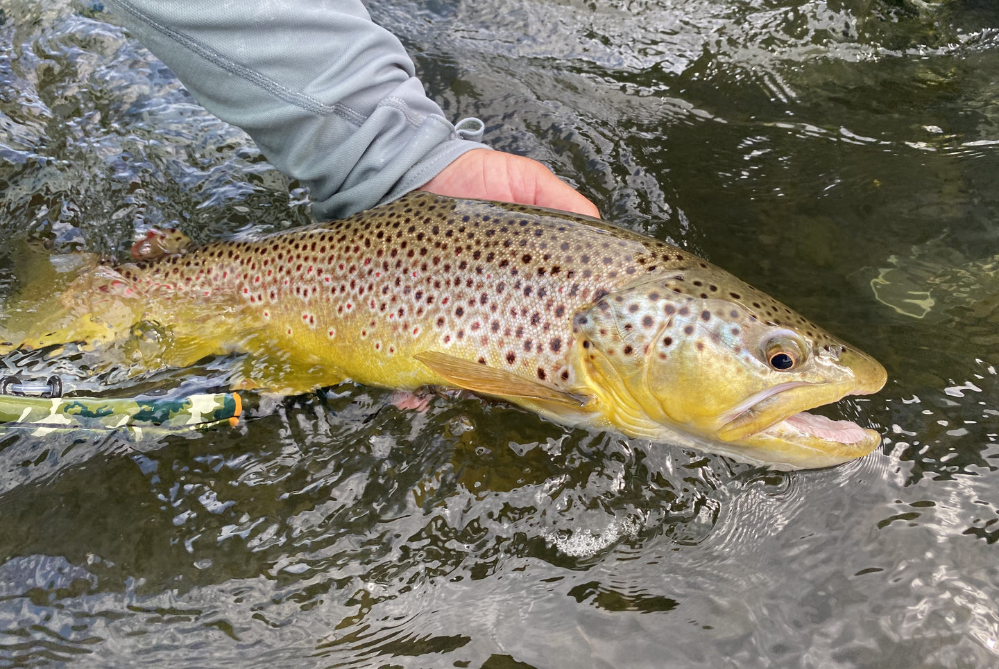 Cross Current Outfitters – Cross Current Outfitters