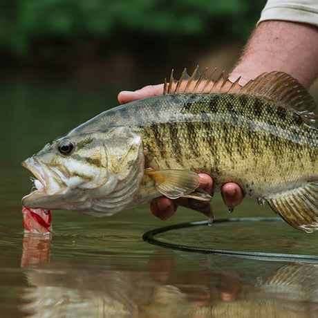 Cross Current Outfitters – Cross Current Outfitters